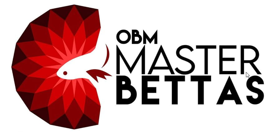 Show Local OBM CDMX – International Betta Congress