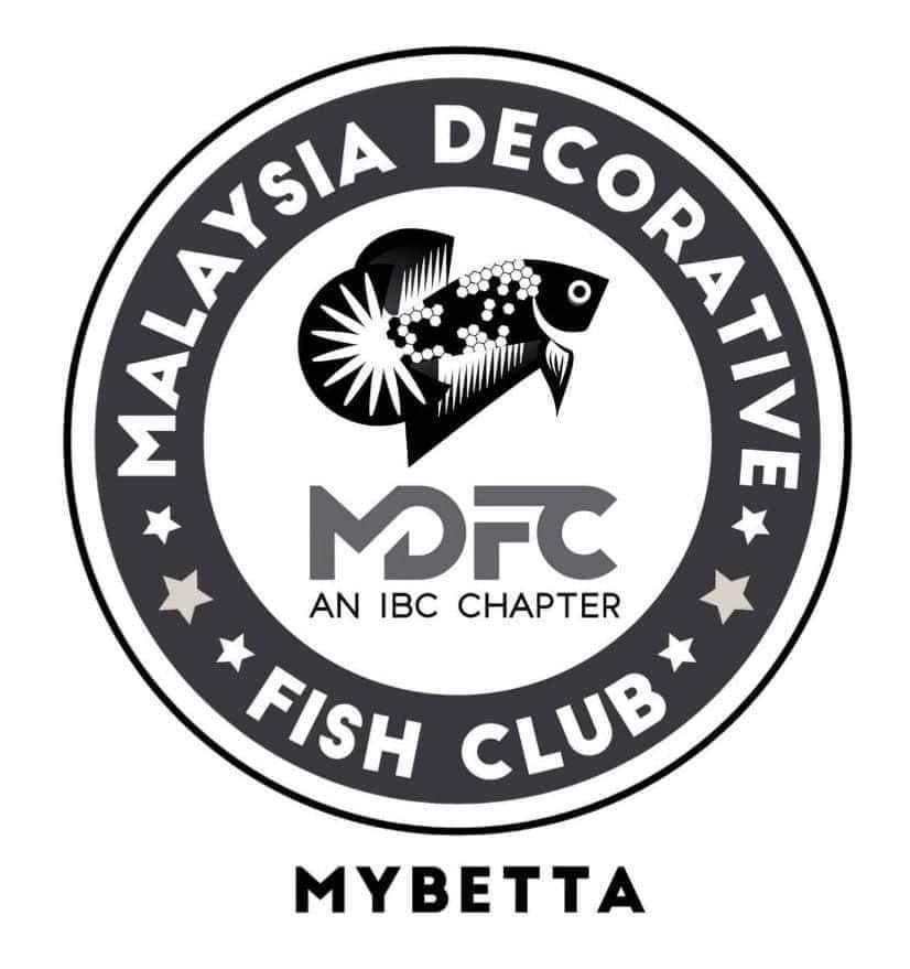 Shows for December 2025 – International Betta Congress